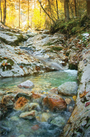 Putting Drinking Water First: Clarifying the "Definition of Waters of ...